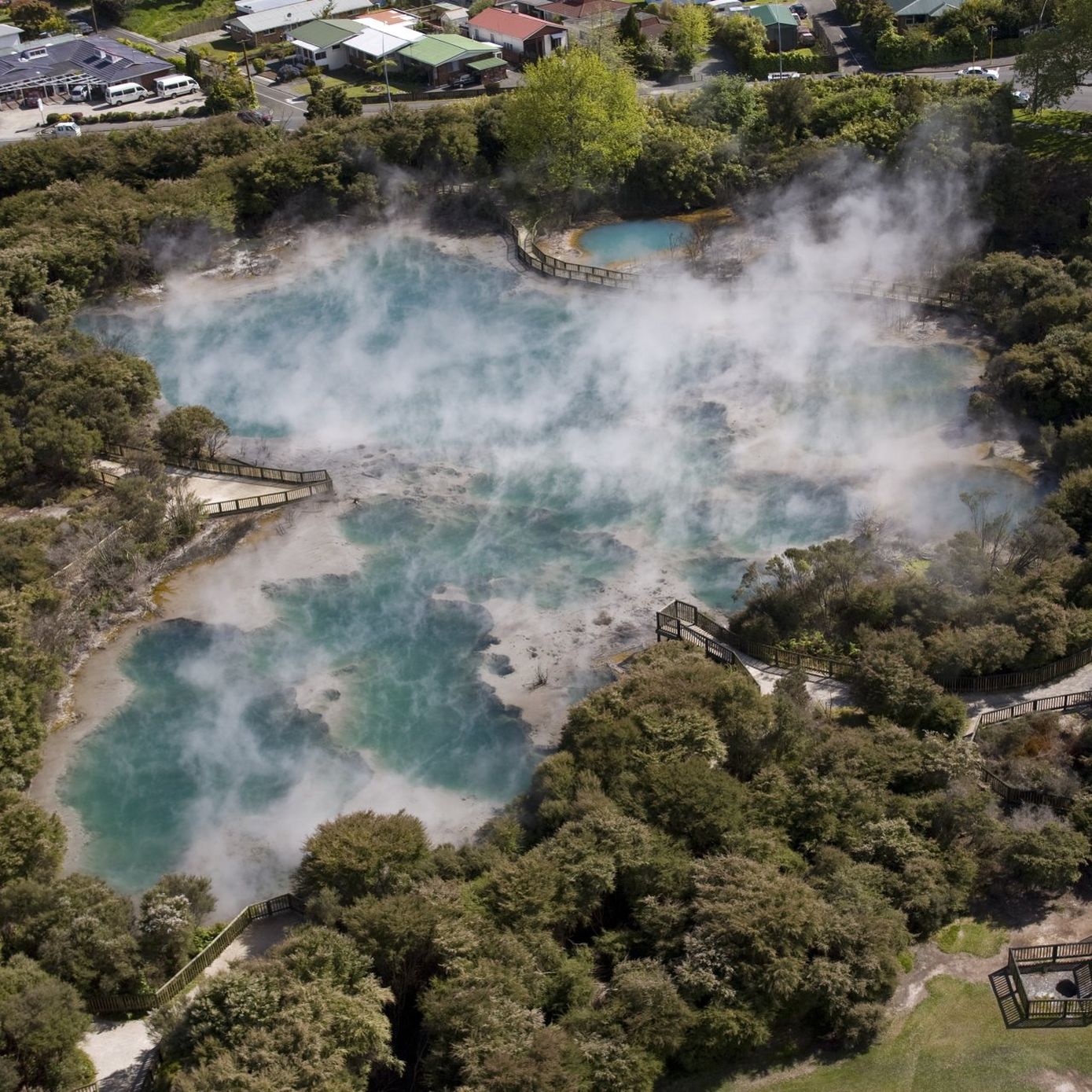 Rotorua: Heart and soul - For the Love of Travel